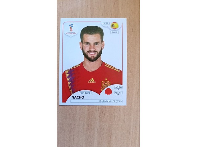 Panini Rusija Russia 2018 sličica broj 124