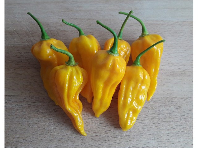 Bhut Jolokia Yellow - Chili pepper 20 semenki