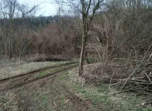 Prodaja Plac - Čukarica, Velika Moštanica