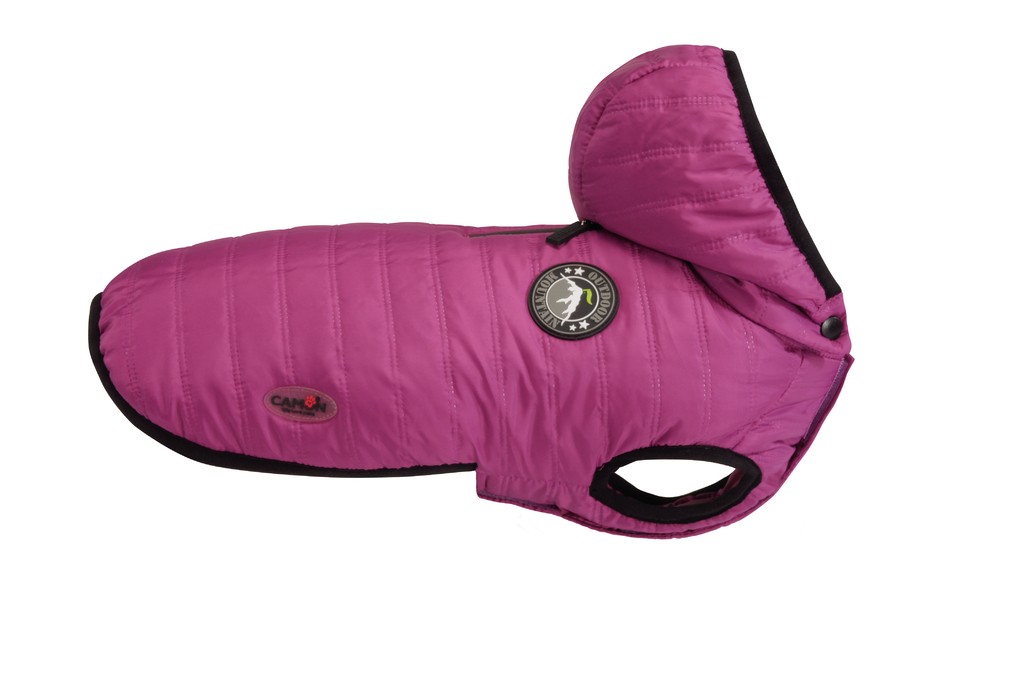 Camon Dog Lilly Windbreaker Jakna 27cm