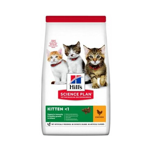 Hills Cat Kitten Piletina 300g