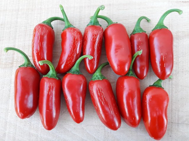 Tam Jalapeno - Chili pepper 20 semenki