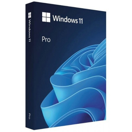 Microsoft Win Pro FPP 11 64-bit Eng Intl non-EU/EFTA USB ( HAV-00164 )