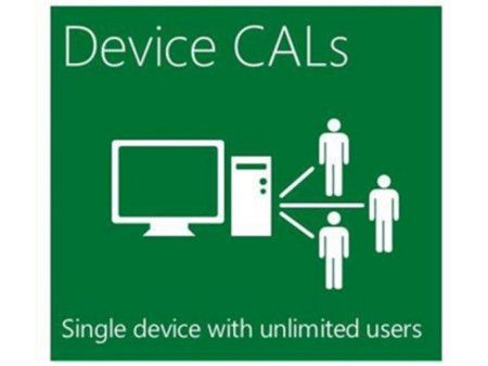 Windows Server CAL 2022 English 1pk DSP OEI 5 Clt Device CAL ( R18-06430 )