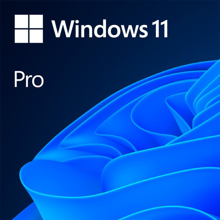 Microsoft windows 11 Professional 64Bit English Intl 1pk DSP OEI DVD ( FQC-10528 )