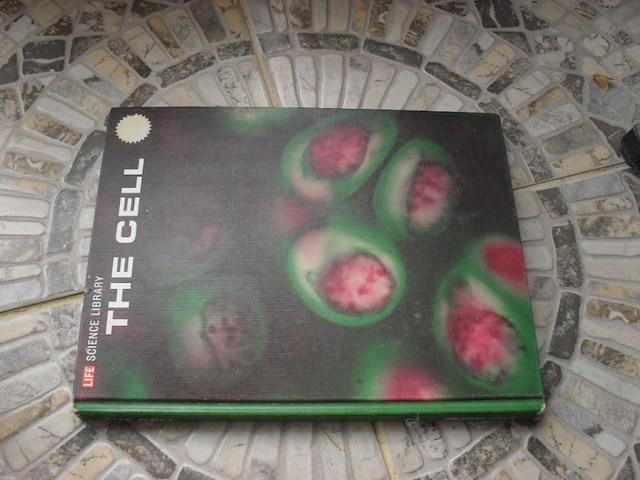 THE CELL - JOHN PFEIFFER