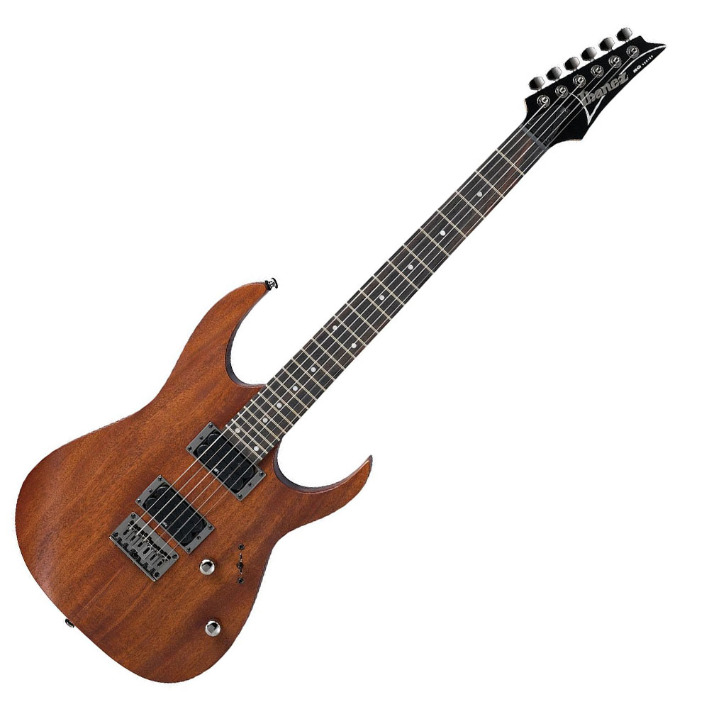 Ibanez RG421-MOL električna gitara