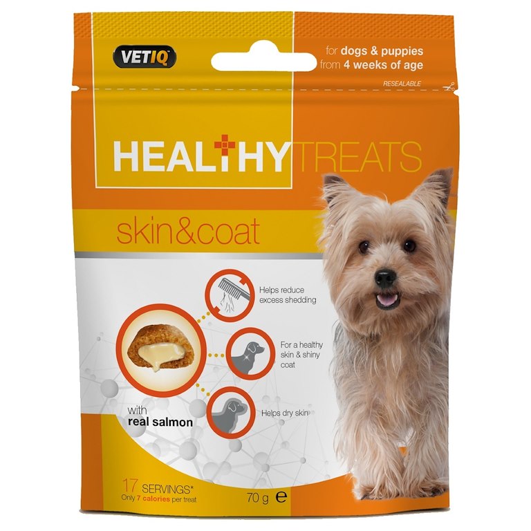 Healthy Treats Skin & Coat For Dogs & Puppies 70g