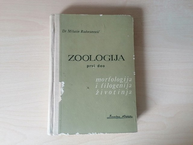 Zoologija, morfologija i filogenija životinja