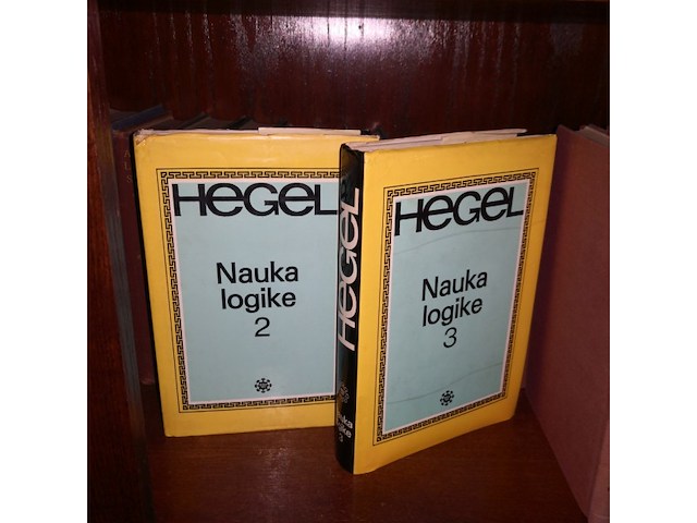 Hegel Nauka logike 2 i 3