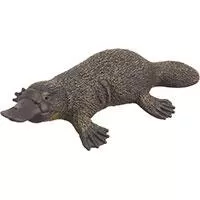 Schleich figurice Divlje životinje - Kljunar 14840