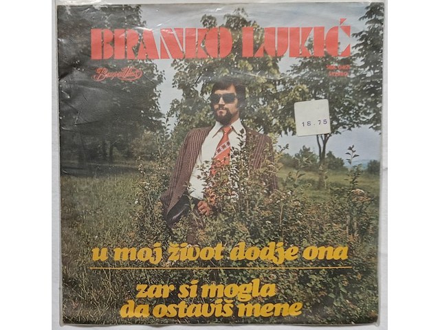 BRANKO LUKIC - U MOJ ZIVOT DODJE ONA