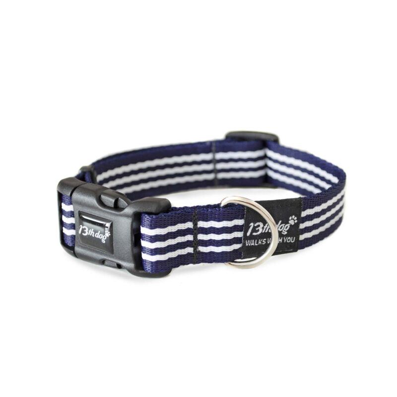 13th Dog Blue Polo Ogrlica L 50-68cm/2,5cm