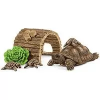 Schleich figurice Divlje životinje - Kornjače 42506