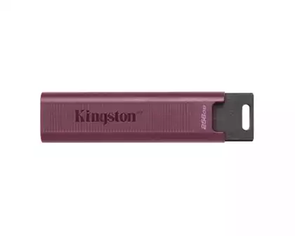 KINGSTON 256GB DataTraveler Max USB 3.2 flash DTMAXA/256GB