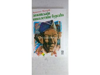 Knjiga:Doživljaji Nikoletine Bursaća 203 str.