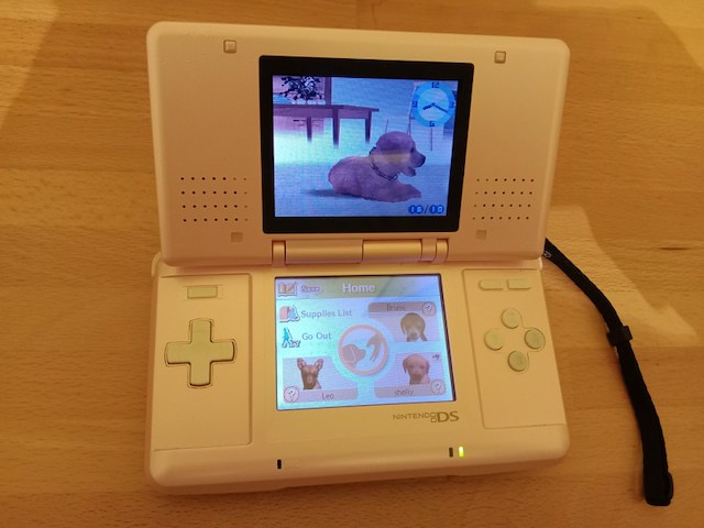 NINTENDO DS