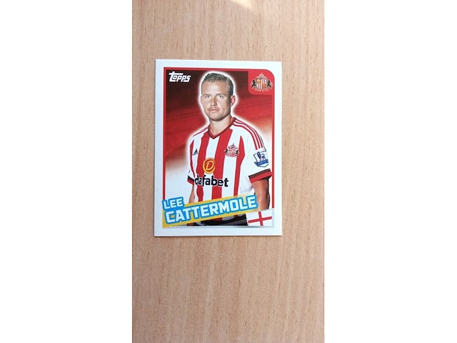 Topps Premier League 2016 broj 378