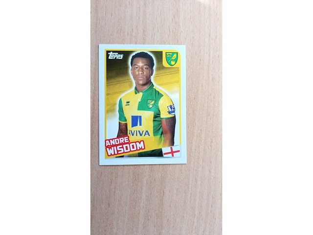 Topps Premier League 2016 broj 307