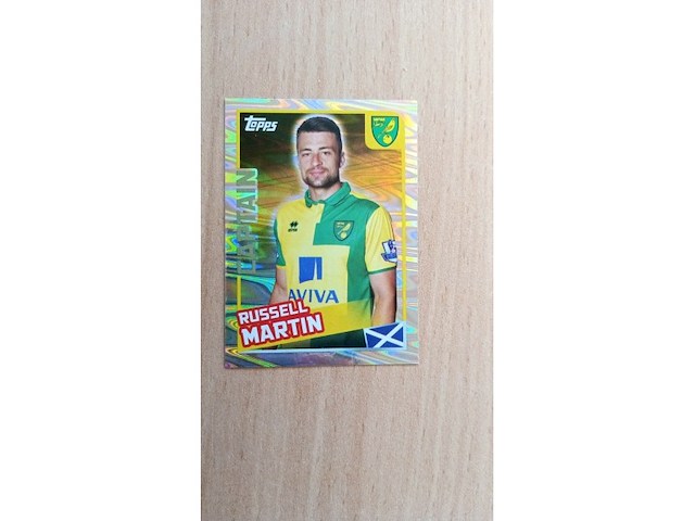 Topps Premier League 2016 broj 303