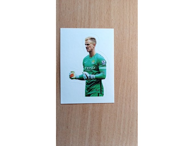 Topps Premier League 2016 broj 191