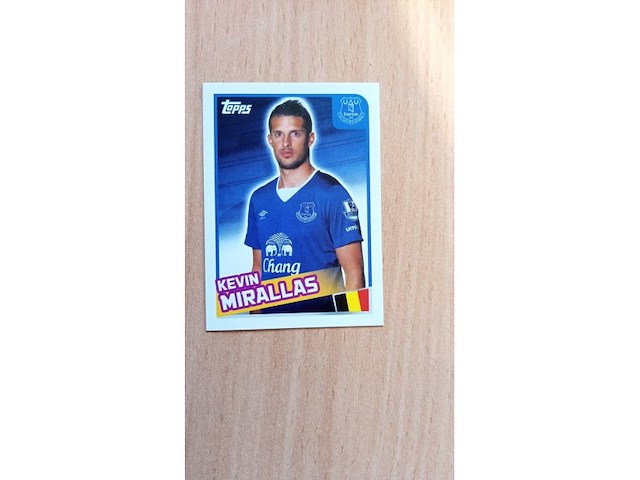 Topps Premier League 2016 broj 141