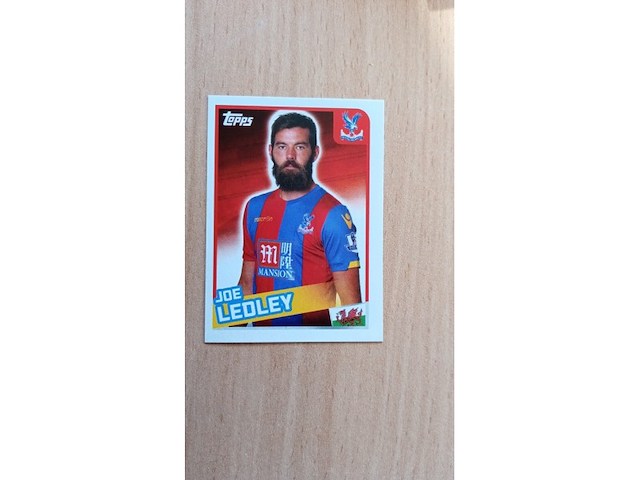 Topps Premier League 2016 broj 108