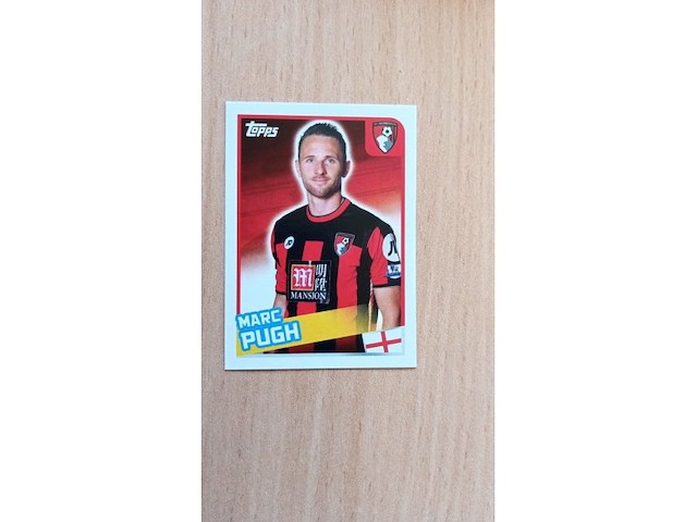 Topps Premier League 2016 broj 020 20