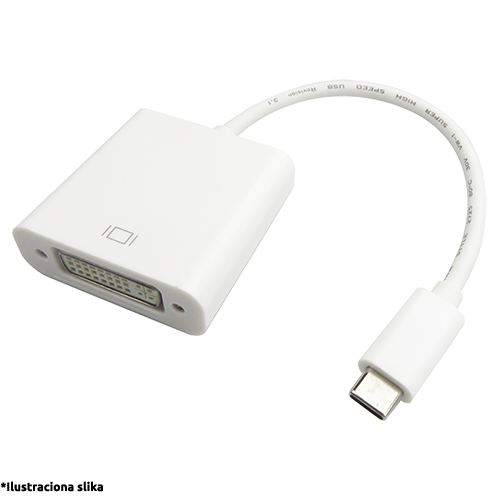FAST ASIA adapter USB C 3.1 na DVI (m/ž),