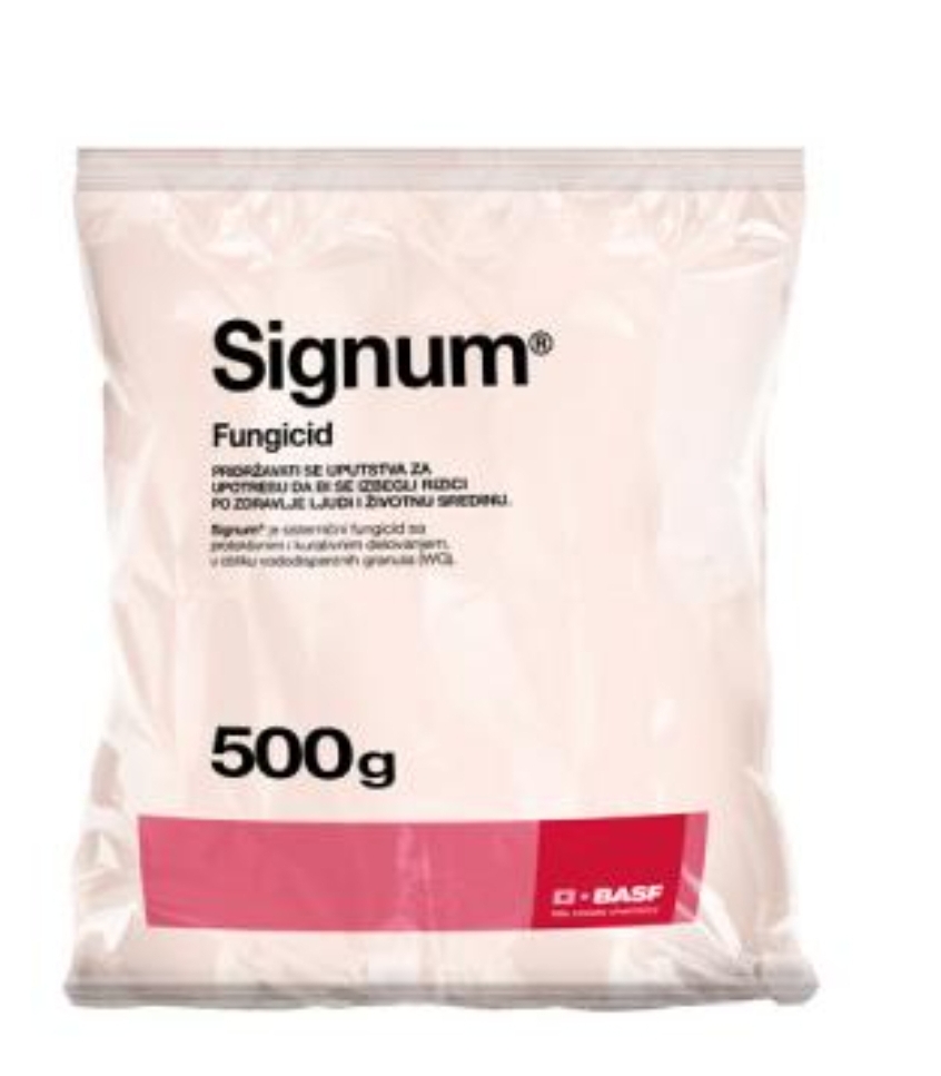 Signum 500g