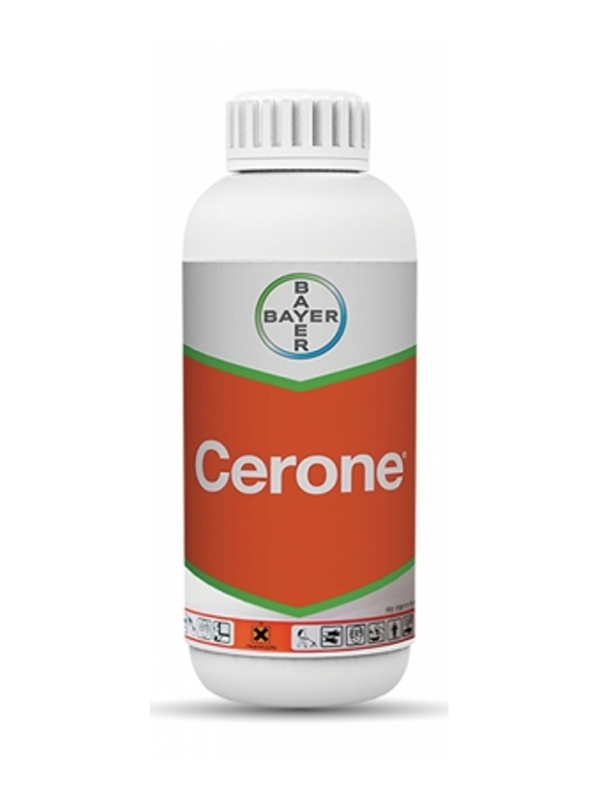 Cerone 1L – Regulator rasta