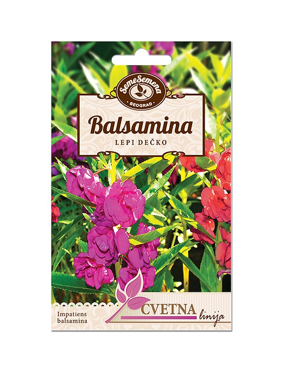 Balzamina