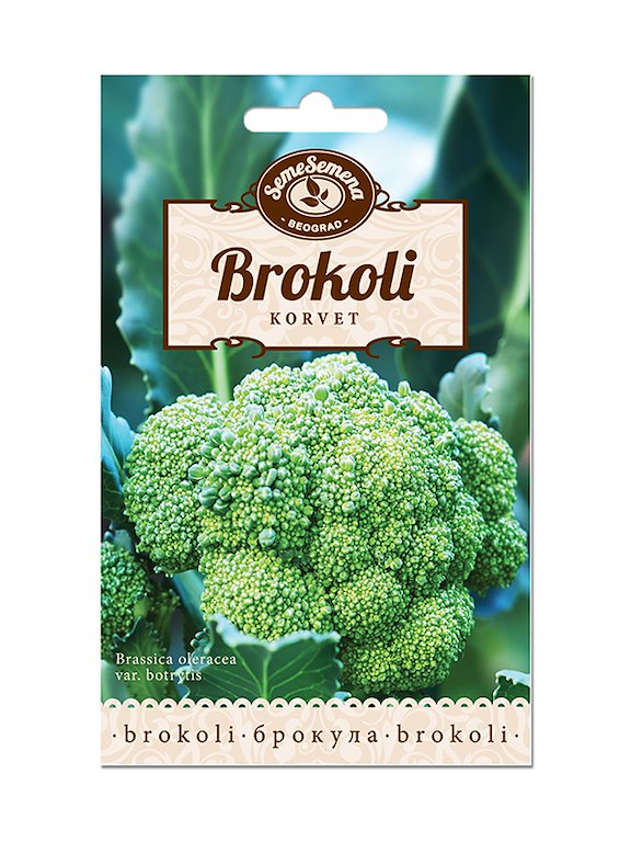 Brokoli Korvet