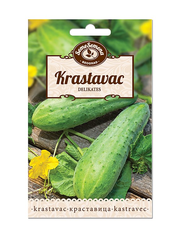 Krastavac Delikates