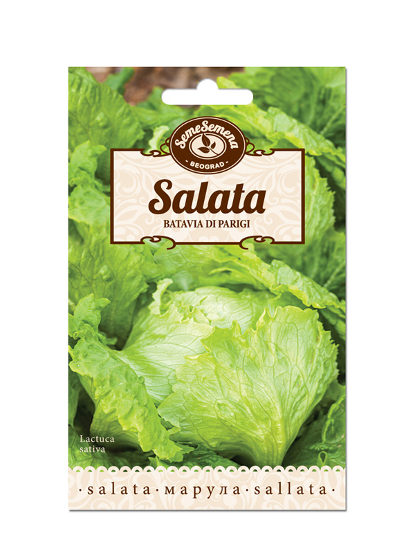 Salata Batavia di Parigi