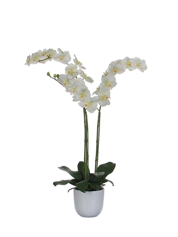 Veštačka orhideja Tusca
