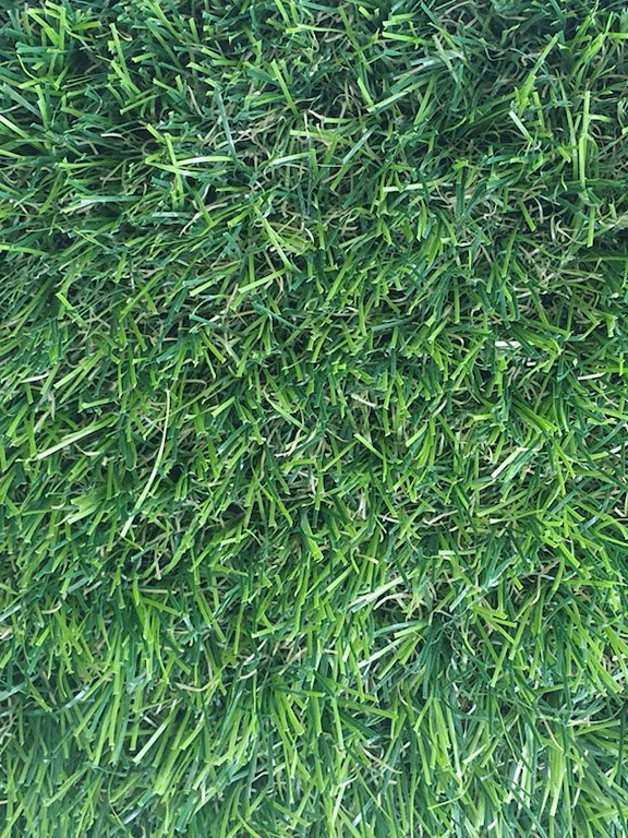 Трава заморозка. Мерзлая трава сверху. Зеленая трава в заморозке скрученная. На стене зеленой трава замороженная. Трава скан дали.