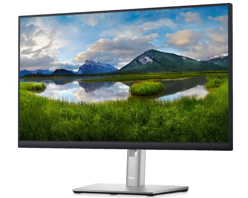 23.8″ P2422H Professional IPS monitor