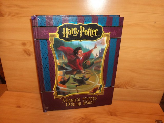 Harry Potter - Magical Scenes Pop-up book