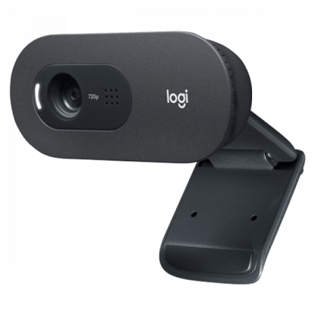 Web camera Logitech C505e 960-001372