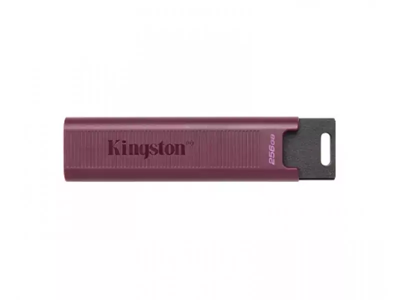 KINGSTON 256GB DATATRAVELER MAX USB 3.2 FLASH (DTMAXA/256GB)