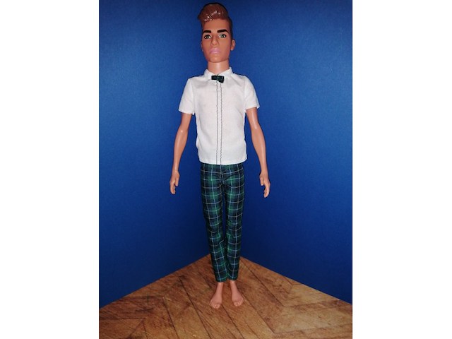 Barbie Ken Fashionista