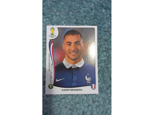 Panini FIFA 2014 Brazil sličica broj 392