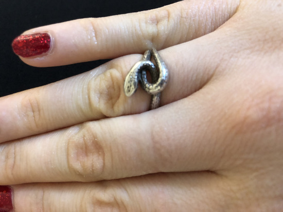 SREBRNI prsten zmija