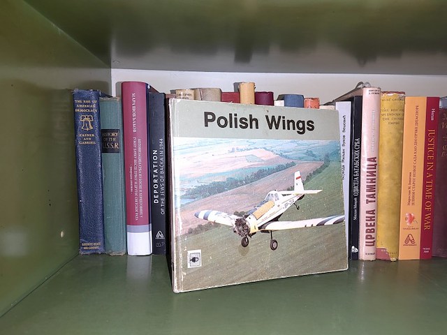 Polish Wings