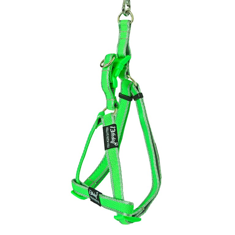 13th Dog Neon Green Step in am XS