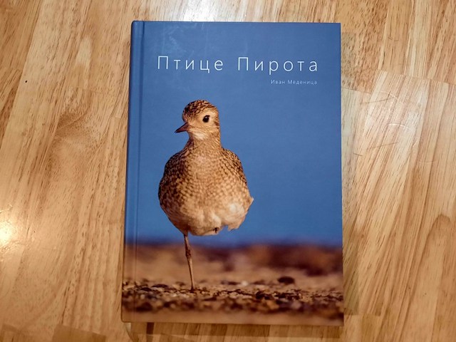Ivan Medenica - Ptice Pirota (zvucna monografija)