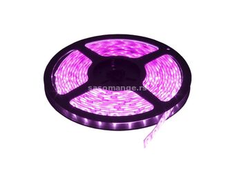 Led traka roze 60 led LTR2835/60P-12