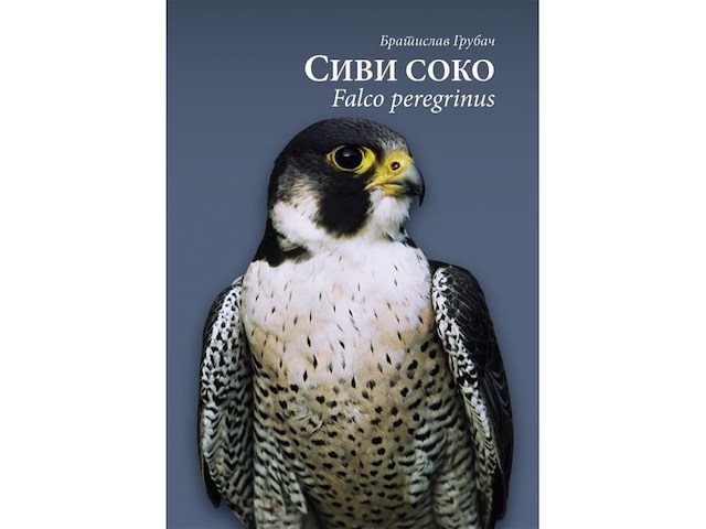 Monografija: Sivi soko - Falco peregrinus