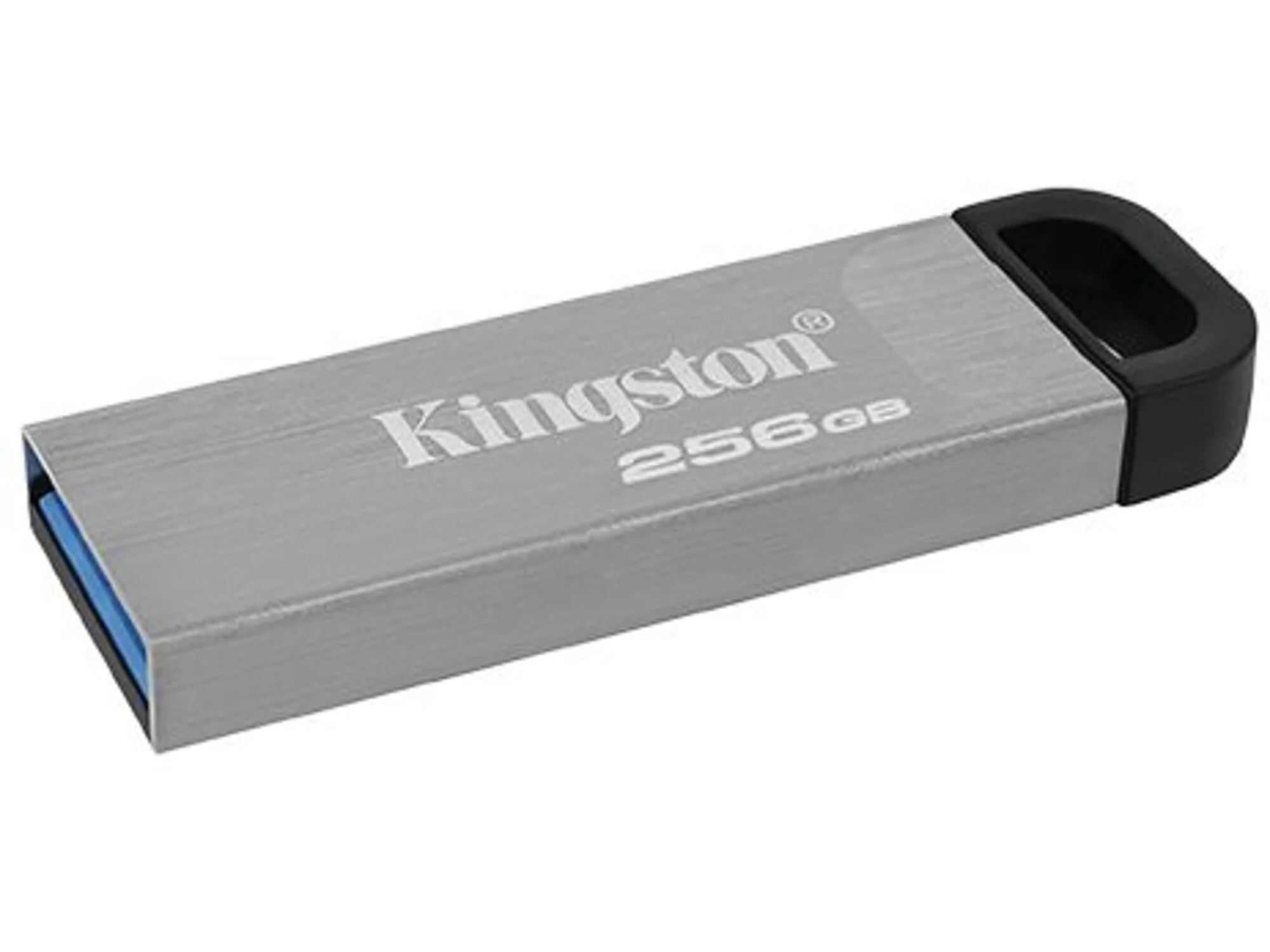 Kingston USB memorija DTKN/256GB